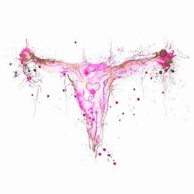 Uterus art - the complete collection | Emma Plunkett Art