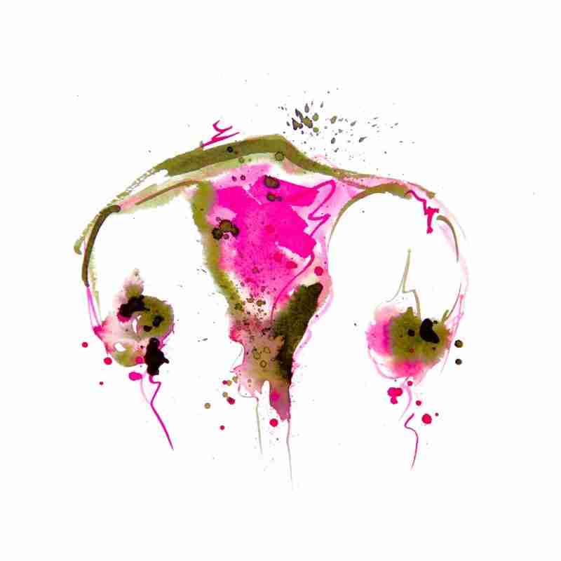 Uterus Art | Emma Plunkett Art