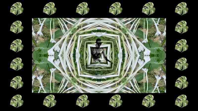 Verdant Reverie - an artistic video | Emma Plunkett Art
