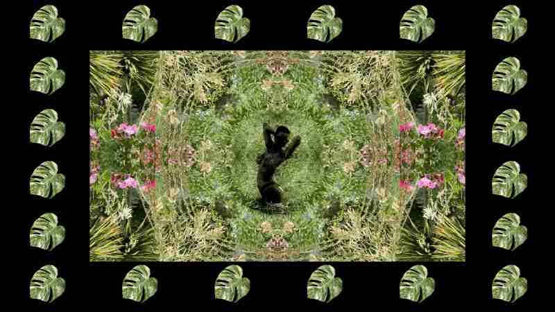 Verdant Reverie - an artistic video | Emma Plunkett Art